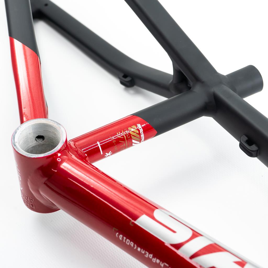 Stay Strong For Life V5 Mini Frame 2025 | Source BMX - US